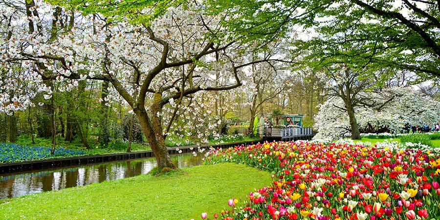 Springtime Tulips & Keukenhof Gardens