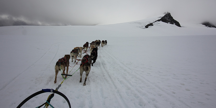 Ultimate Winter Wonderland: Iditarod & Northern Lights