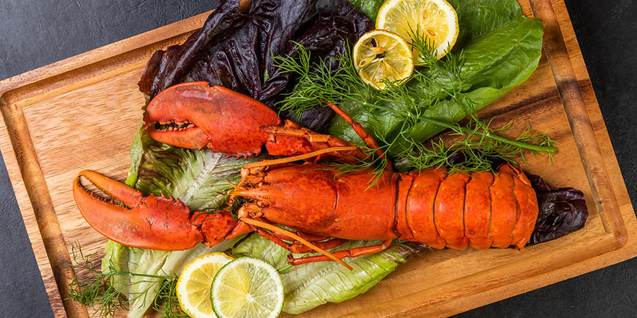 Highlights of French Canada and Nova Scotia