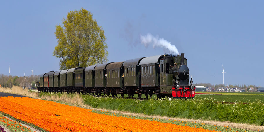 Keukenhof Tulips, Canals & Amsterdam in Springtime