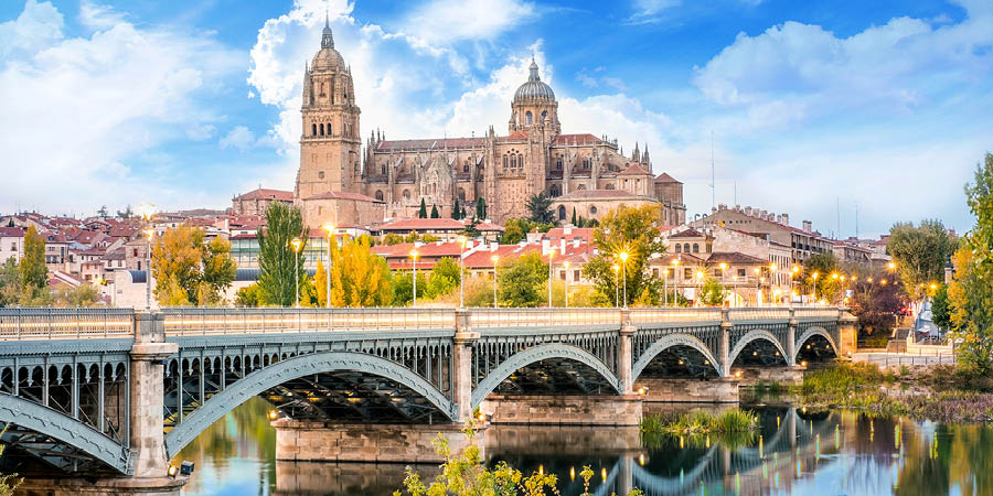 Premium Golden Douro River Cruise