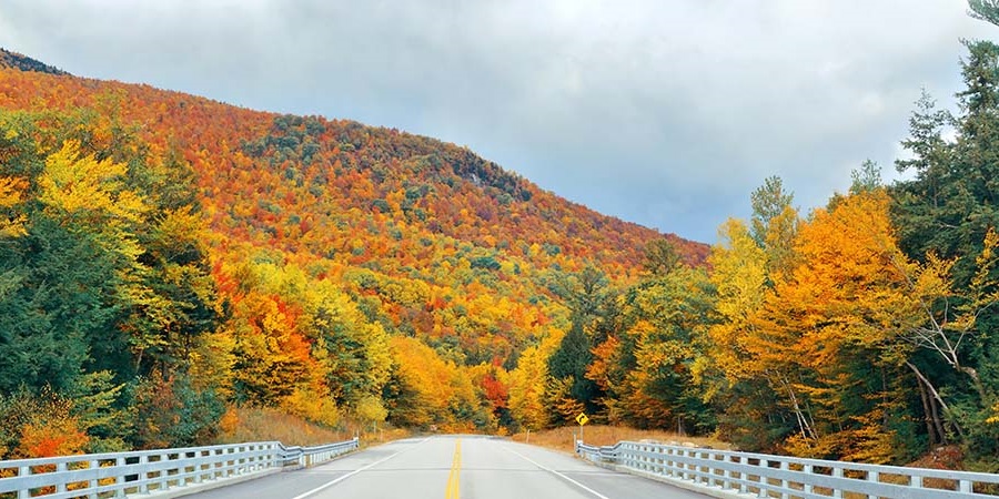 New England in the Fall Train Tour