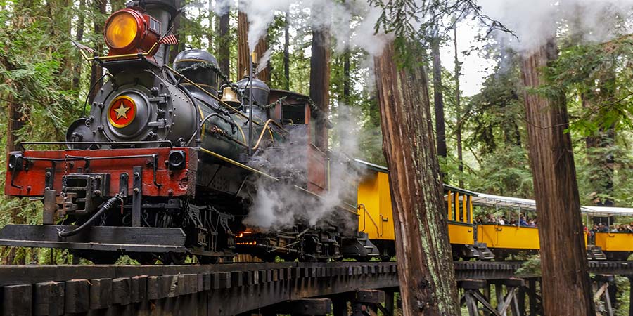 Redwood Forest Steam Train | Vacations By Rail